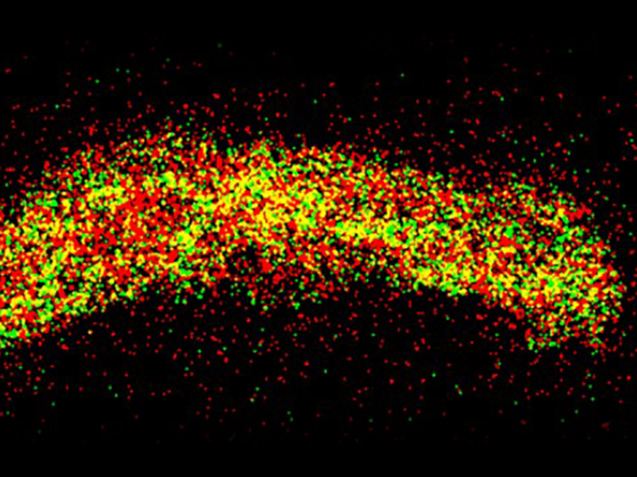 Silicon Anode after 100 Cycles [IMAGE] | EurekAlert! Science News Releases