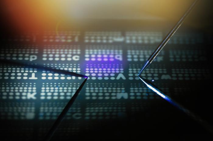 Smart in-memory light sensors [IMAGE] | EurekAlert! Science News Releases