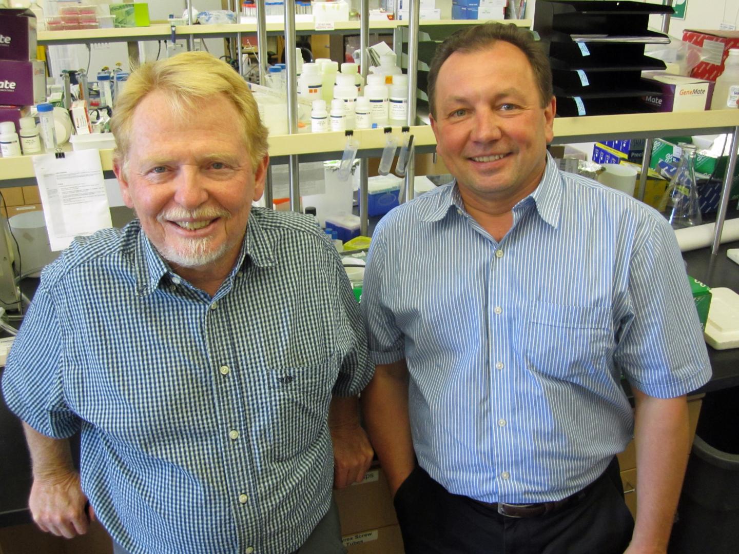 Wayne Potts and Petr Tvrdik [IMAGE] | EurekAlert! Science News Releases