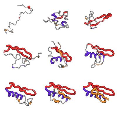 Proteins Share Common Folding Pathways (4 of | EurekAlert!