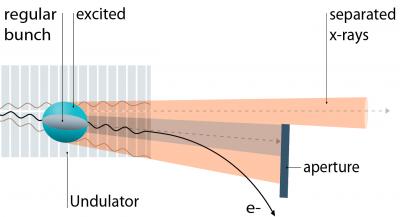 Schematic Illustration of Puls [IMAGE] | EurekAlert! Science News Releases