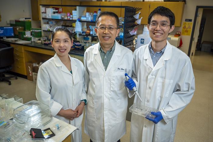 MCG scientists identify new treatment target | EurekAlert!