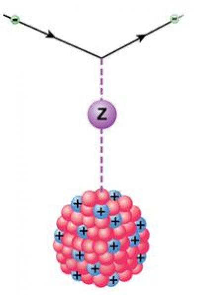 Large Atomic Parity Violation [IMAGE] | EurekAlert! Science News Releases