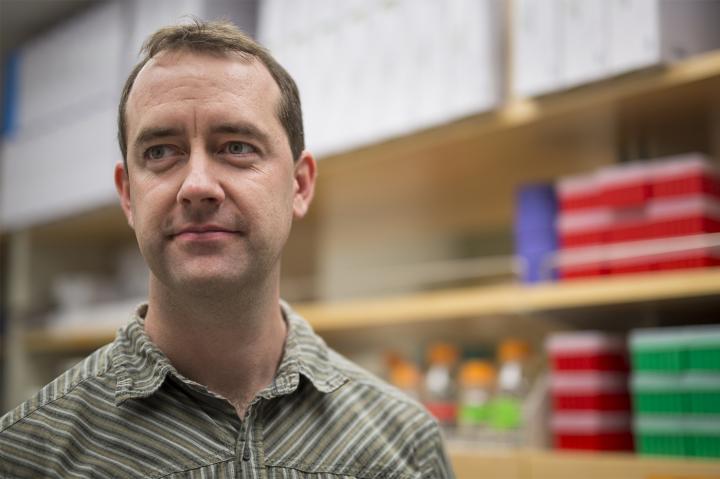 Professor Sean Collins, Univer [IMAGE] | EurekAlert! Science News Releases