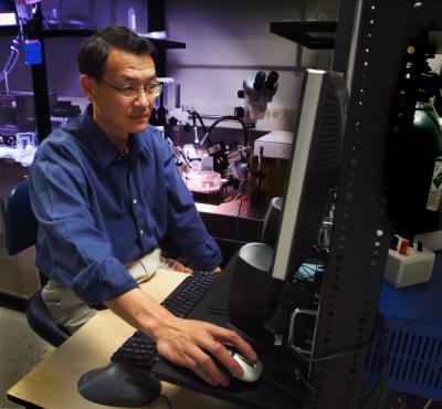 Dr. Mei honored by mental health research cha | EurekAlert!