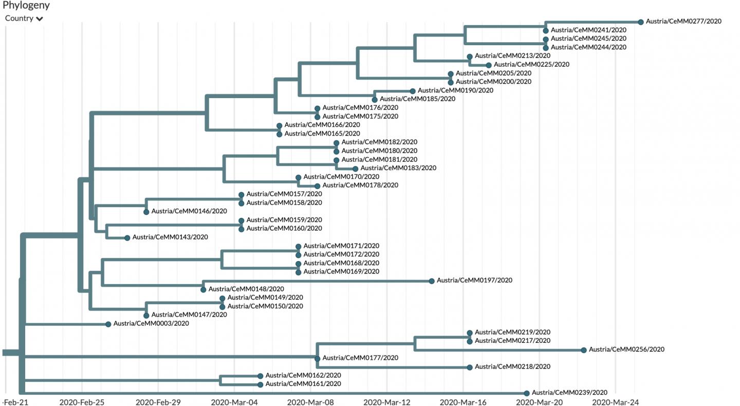 Release of 216 SARS-CoV-2 genomes provides in | EurekAlert!