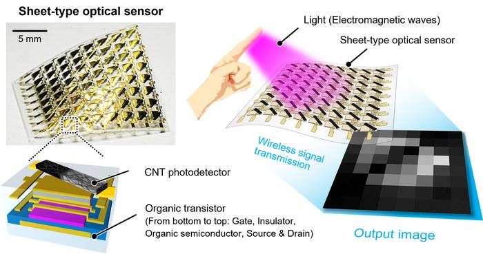 Fig. 1 [IMAGE] | EurekAlert! Science News Releases