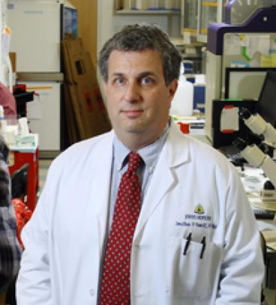 Three Johns Hopkins faculty win Novo Nordisk | EurekAlert!