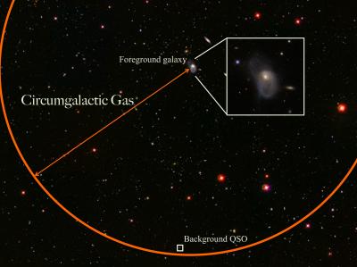 Star-Forming Galaxies Marked b [IMAGE] | EurekAlert! Science News Releases