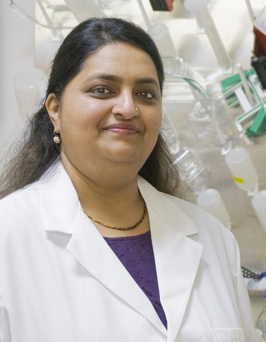 Reshmi Parameswaran [IMAGE] | EurekAlert! Science News Releases
