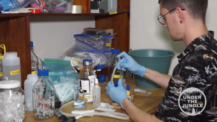 Processing samples [IMAGE] | EurekAlert! Science News Releases