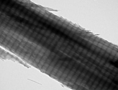 Carbon Nanofibers [IMAGE] | EurekAlert! Science News Releases