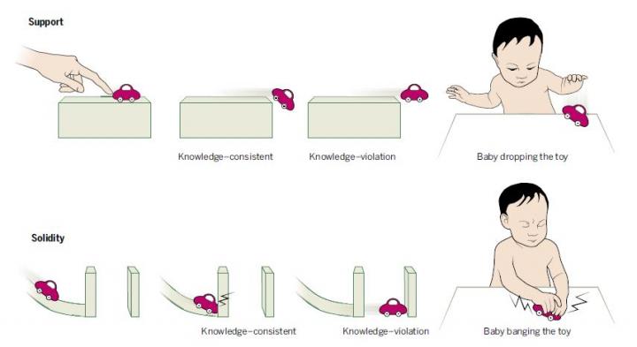 Objects that Defy Infants' Expectations Shape | EurekAlert!