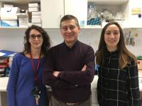 IDIBELL researchers discover that a molecule | EurekAlert!