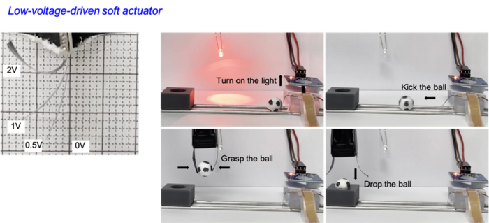 Figure 3 [IMAGE] | EurekAlert! Science News Releases