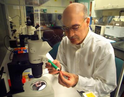 Dr. Ali Eroglu [IMAGE] | EurekAlert! Science News Releases