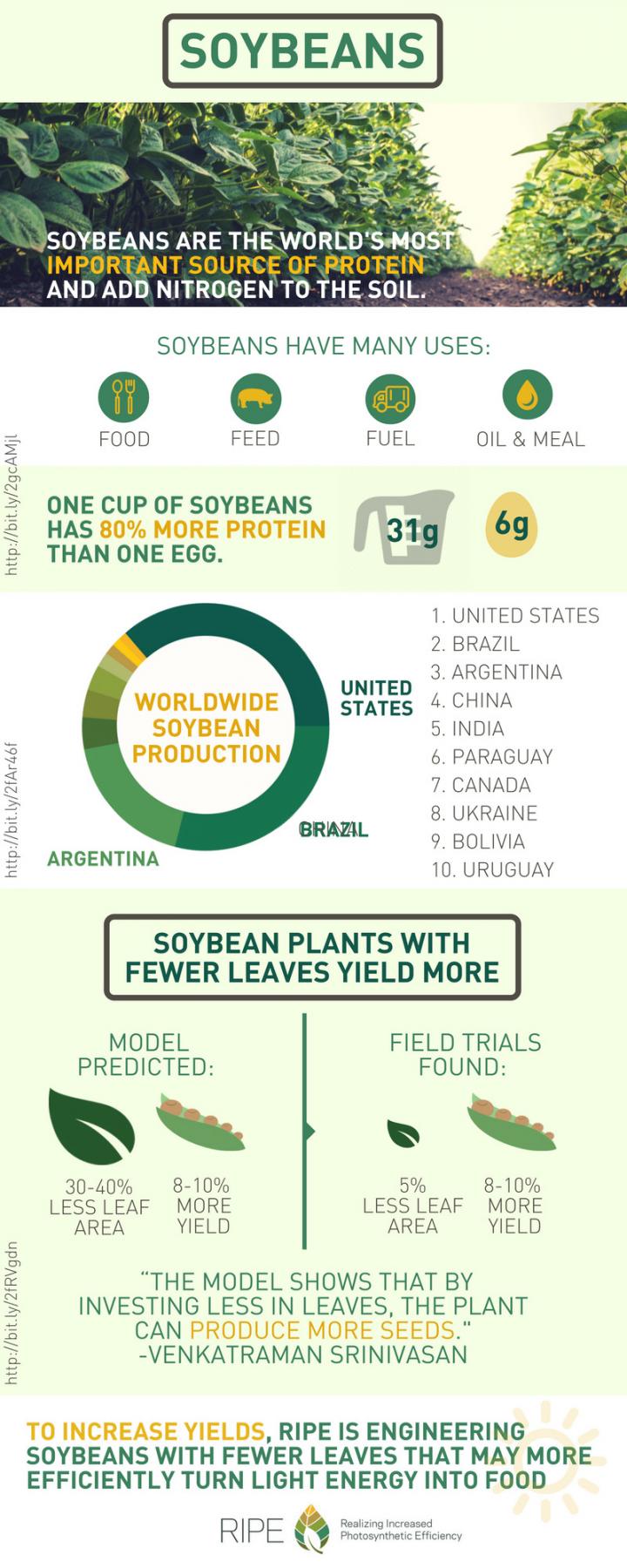 Soybean Infographic [IMAGE] | EurekAlert! Science News Releases