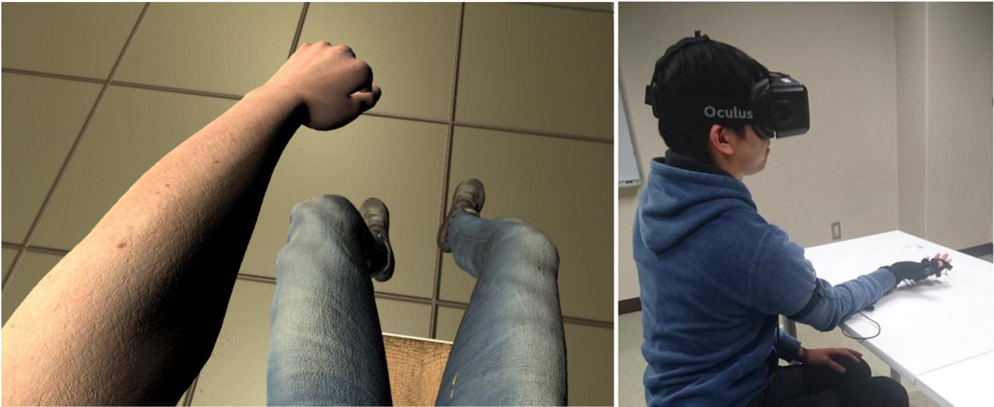 Image on the HMD (left) and a [IMAGE] | EurekAlert! Science News Releases