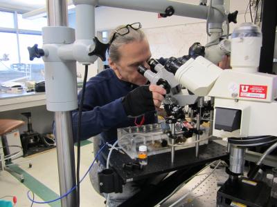 Richard Rabbitt, University of [IMAGE] | EurekAlert! Science News Releases