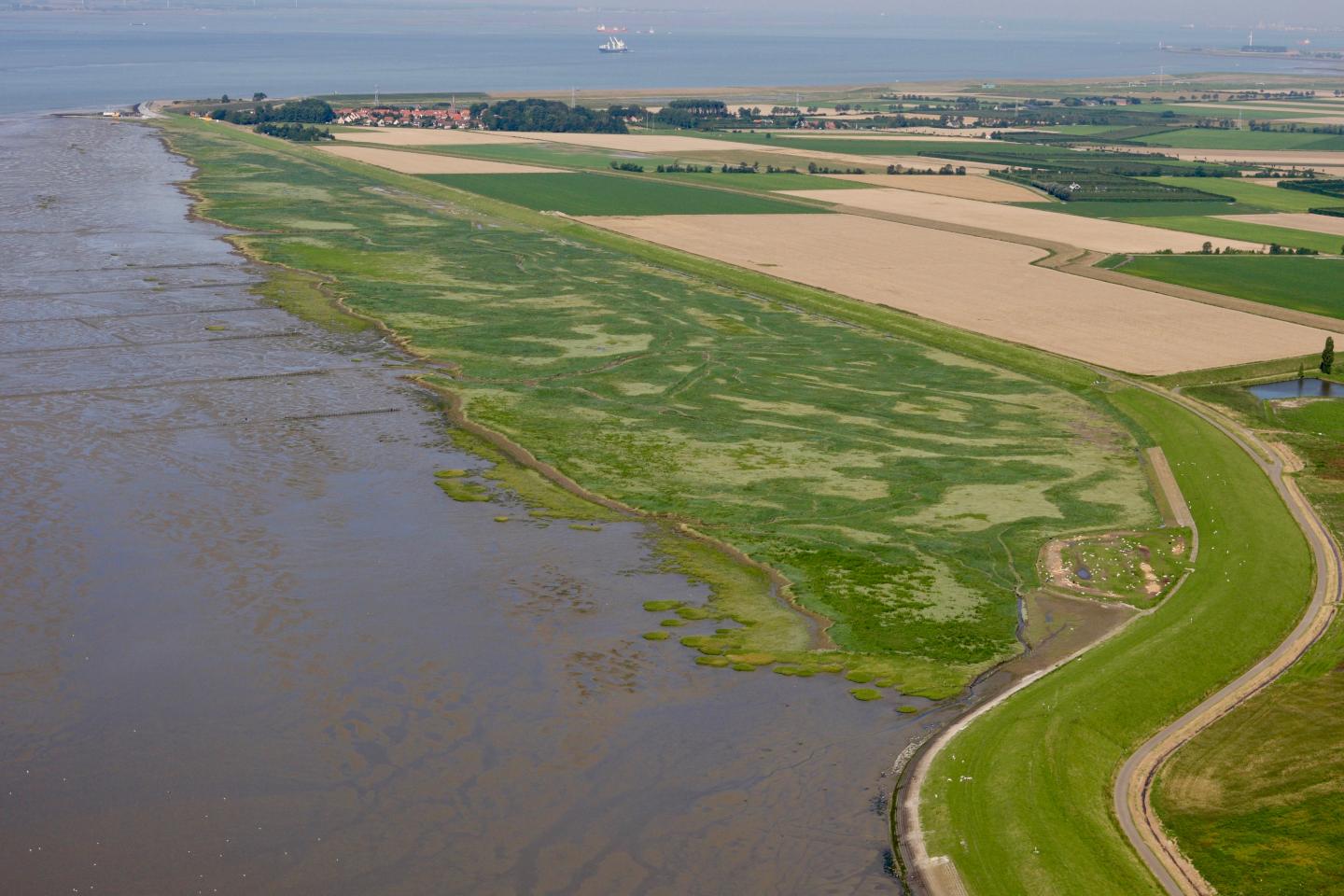 Wetland Migration Barrier [IMAGE] | EurekAlert! Science News Releases