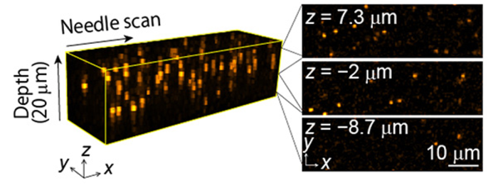 Figure 2 [image] Eurekalert Science News Releases