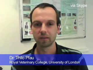 Due Credit to the Jockeys (2 of 10) | EurekAlert!