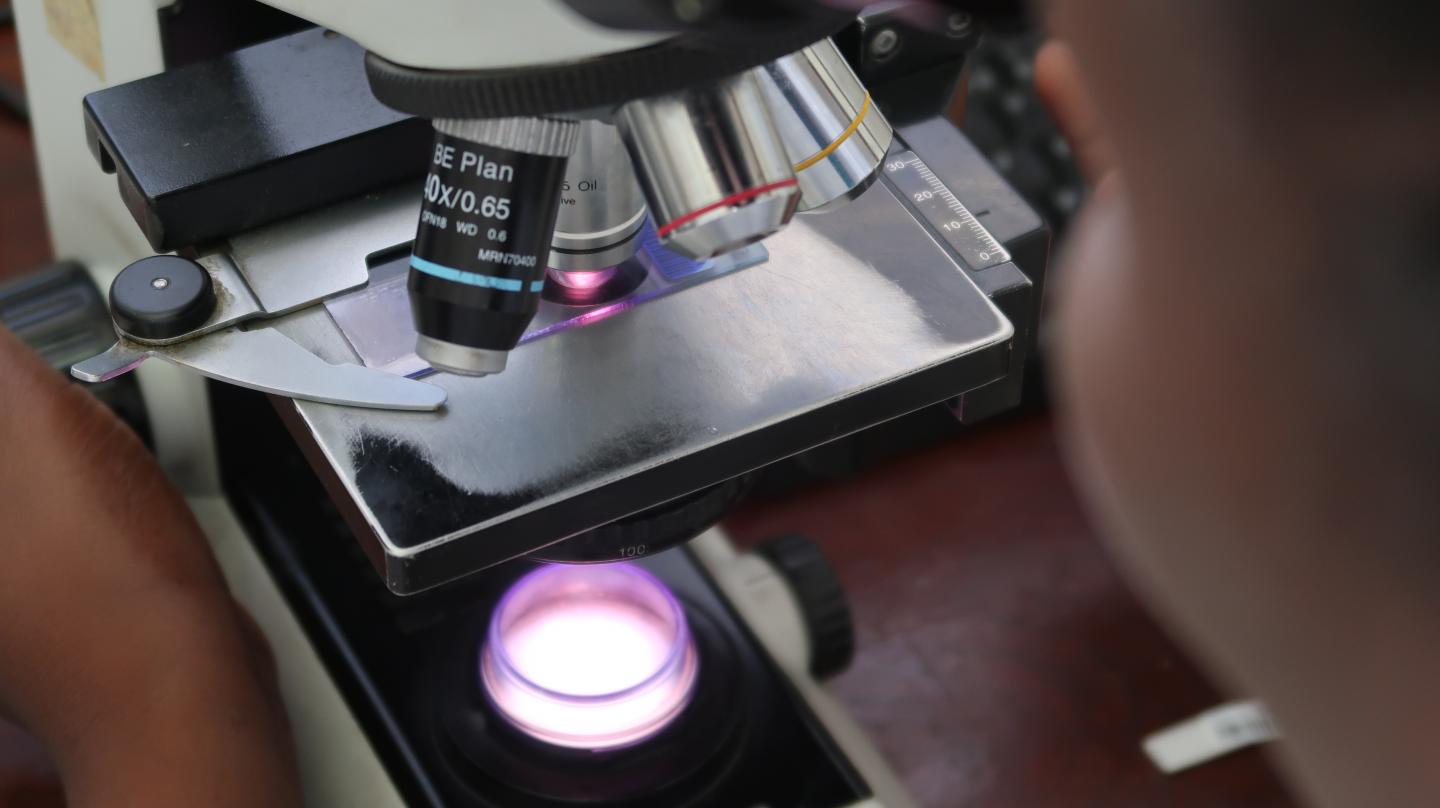 Microscope [image] Eurekalert Science News Releases