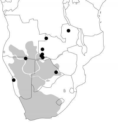 Genetic admixture in southern Africa | EurekAlert!