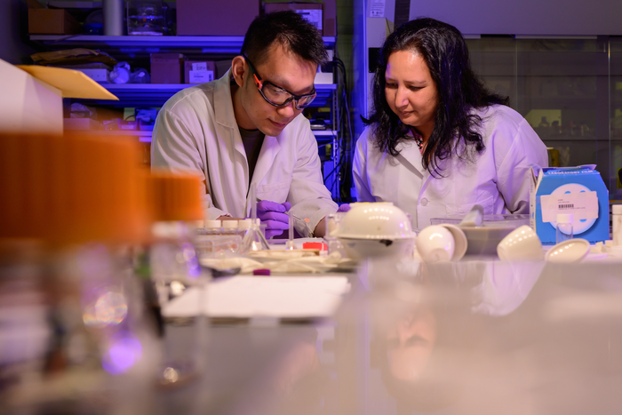 photo of researchers [IMAGE] | EurekAlert! Science News Releases