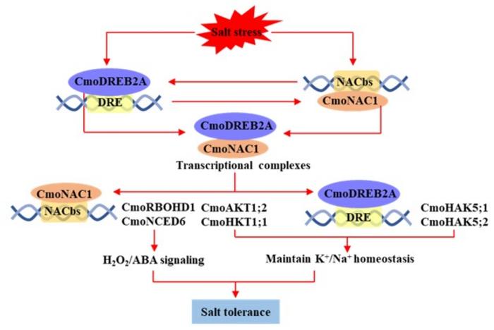 Figure 2 [IMAGE] | EurekAlert! Science News Releases