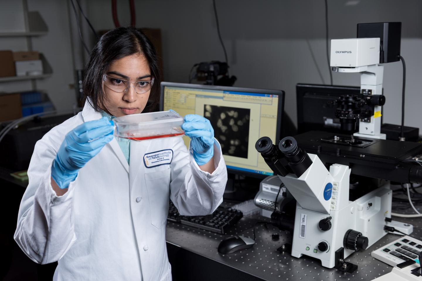 Examining HeLa Cells [IMAGE] | EurekAlert! Science News Releases