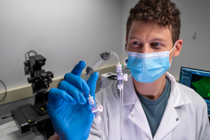 Observing fluid flow [IMAGE] | EurekAlert! Science News Releases