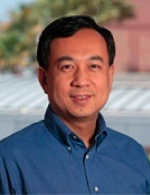 Chen Dong, International Cytok [IMAGE] | EurekAlert! Science News Releases