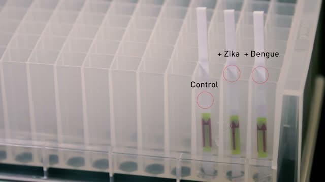 CRISPR-based diagnostic SHERLOCK optimized fo | EurekAlert!