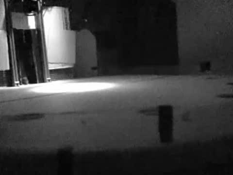 To Follow the Wind, Rats Use their Whiskers ( | EurekAlert!