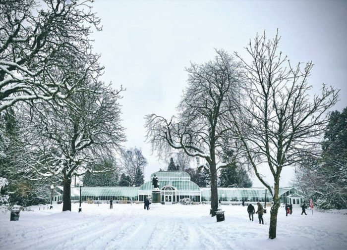 Seattle in Snow [IMAGE] | EurekAlert! Science News Releases