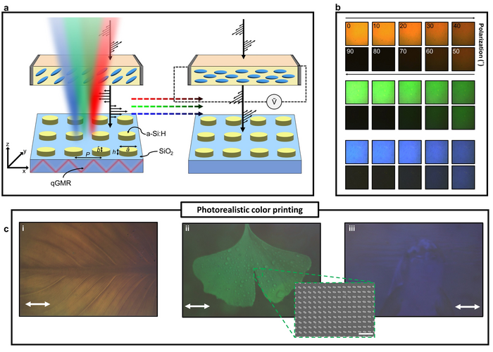 Figure 1 [IMAGE] | EurekAlert! Science News Releases