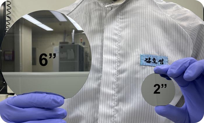 Comparison of 2-inch and 6-inc [IMAGE] | EurekAlert! Science News Releases