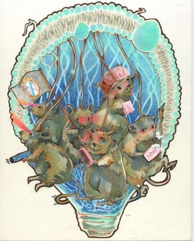 Neural Circuitry Linked to OCD [IMAGE] | EurekAlert! Science News Releases