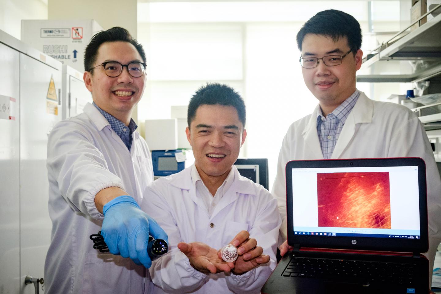 Dr. David Yeo, Asst Prof Xu Ch [IMAGE] | EurekAlert! Science News Releases