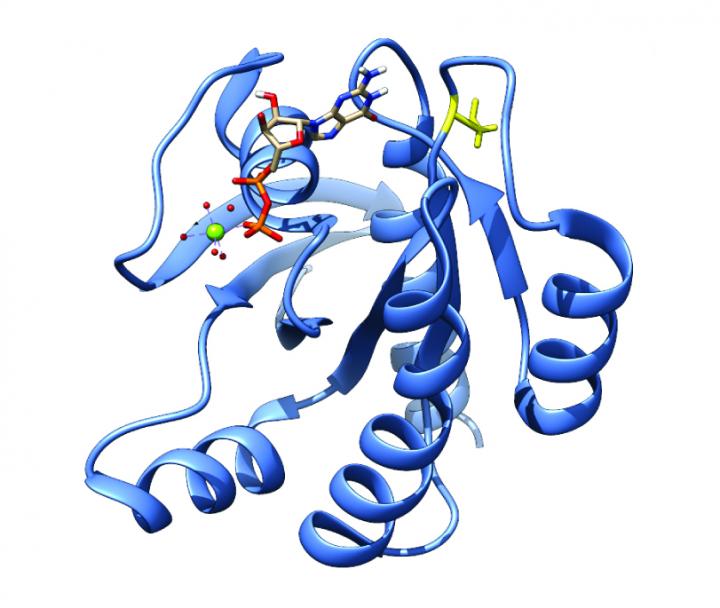 KRAS4b [IMAGE] | EurekAlert! Science News Releases