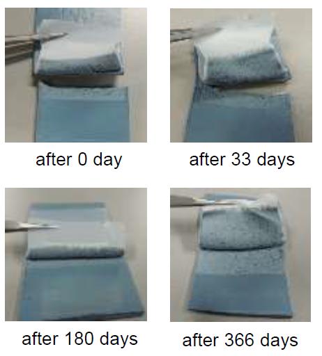 Surprisingly long lifetime of high adhesion p | EurekAlert!