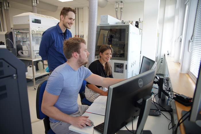 Large data sets are playing an [IMAGE] | EurekAlert! Science News Releases