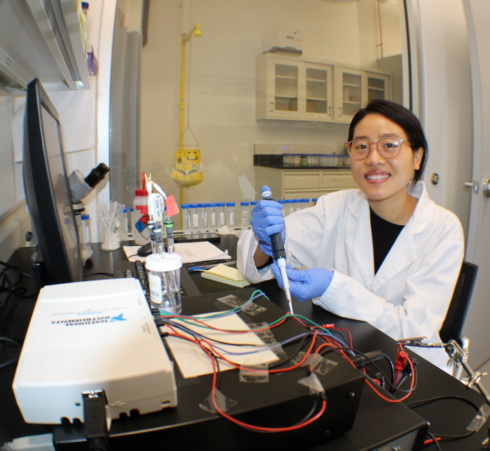 Khengdauliu Chawang [IMAGE] | EurekAlert! Science News Releases