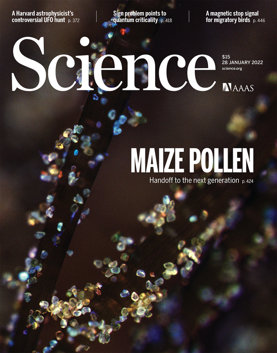 Cover of Science [IMAGE] | EurekAlert! Science News Releases