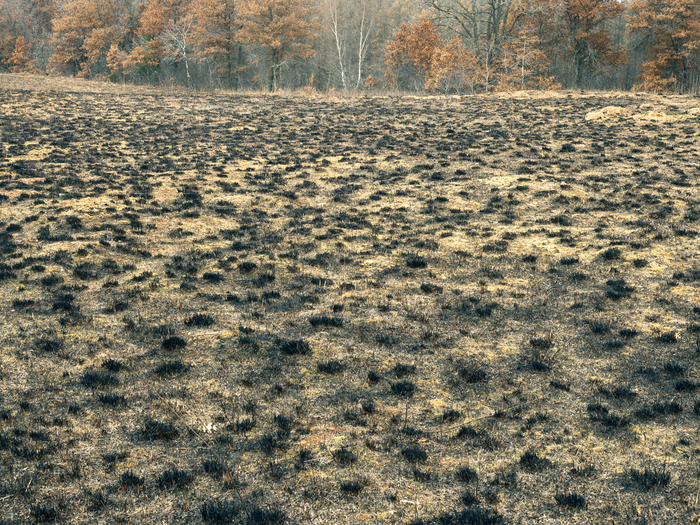 2. Prescribed burn [IMAGE] | EurekAlert! Science News Releases