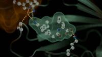 A New Drought-Protective Small Molecule 'Drug | EurekAlert!