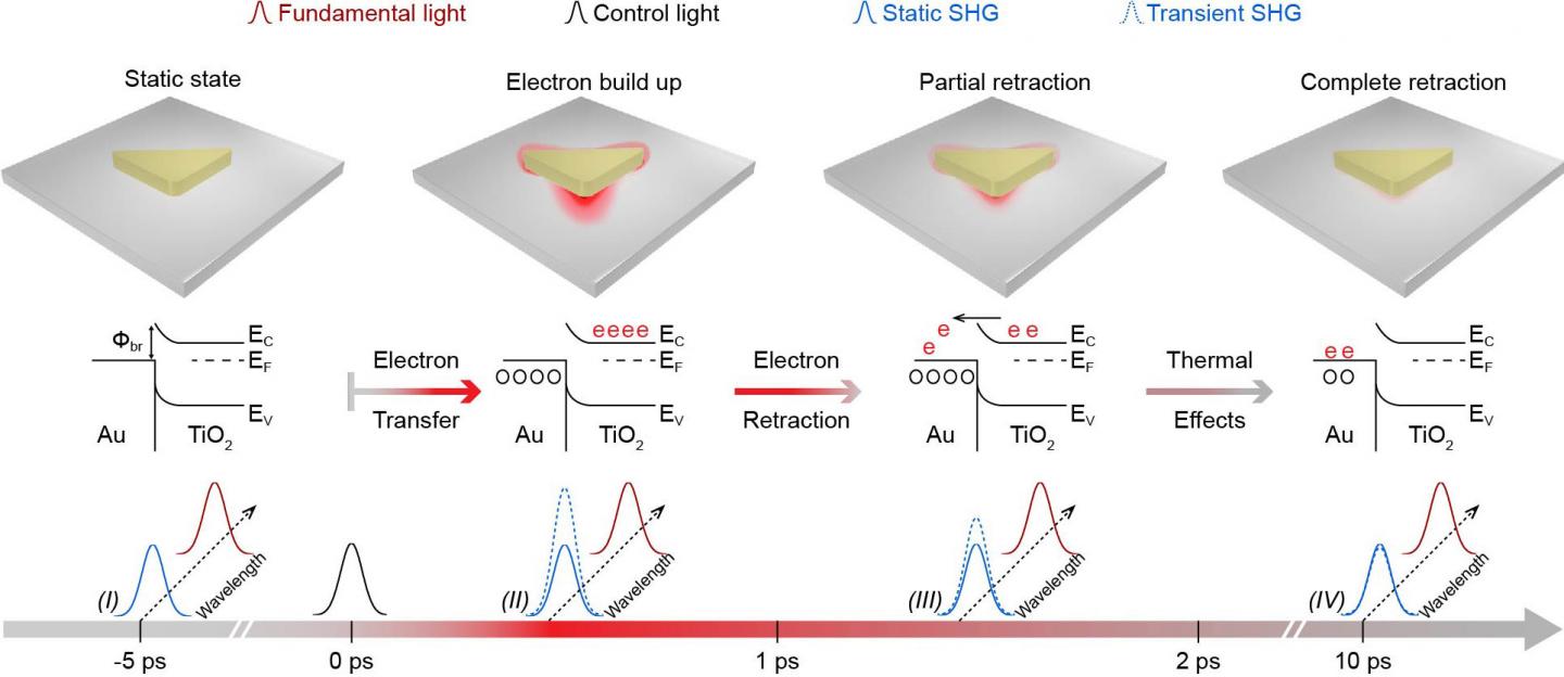 Schematic for Breaking Inversi [IMAGE] | EurekAlert! Science News Releases