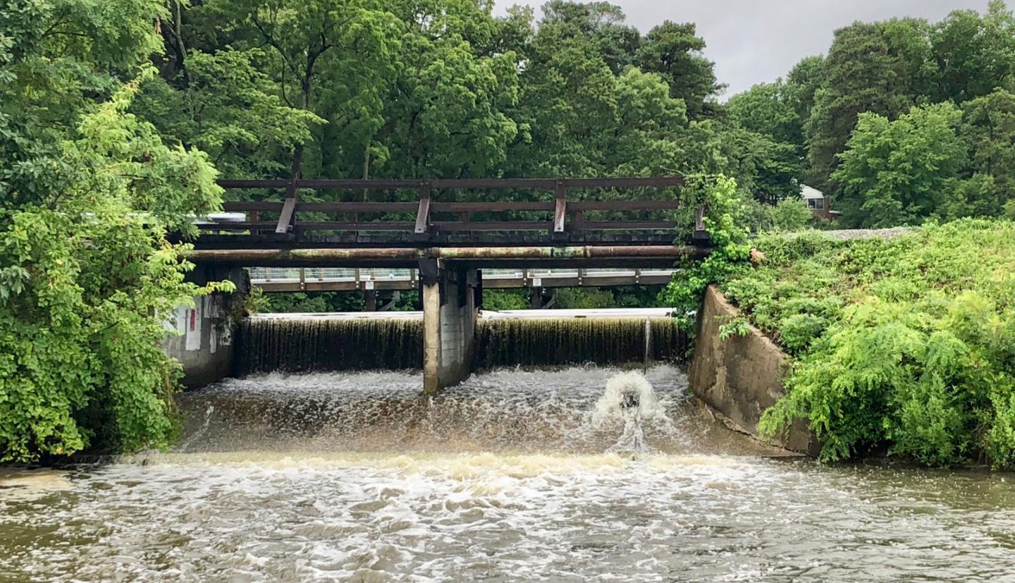 Runoff [IMAGE] | EurekAlert! Science News Releases