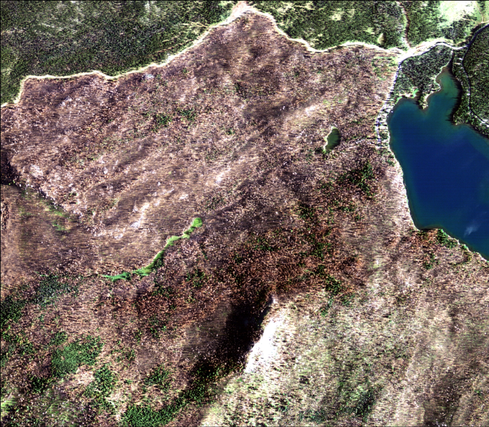 Remote sensing of fire refugia [IMAGE] | EurekAlert! Science News Releases